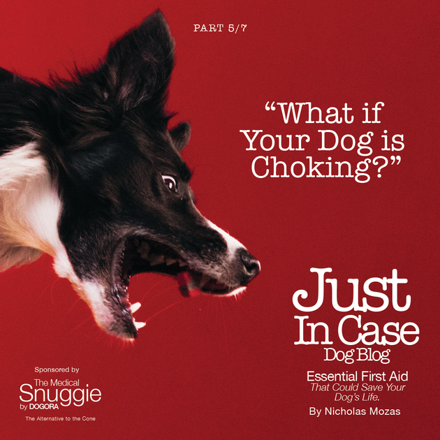 What if Your Dog is Choking? - Part 5 – DOGORA