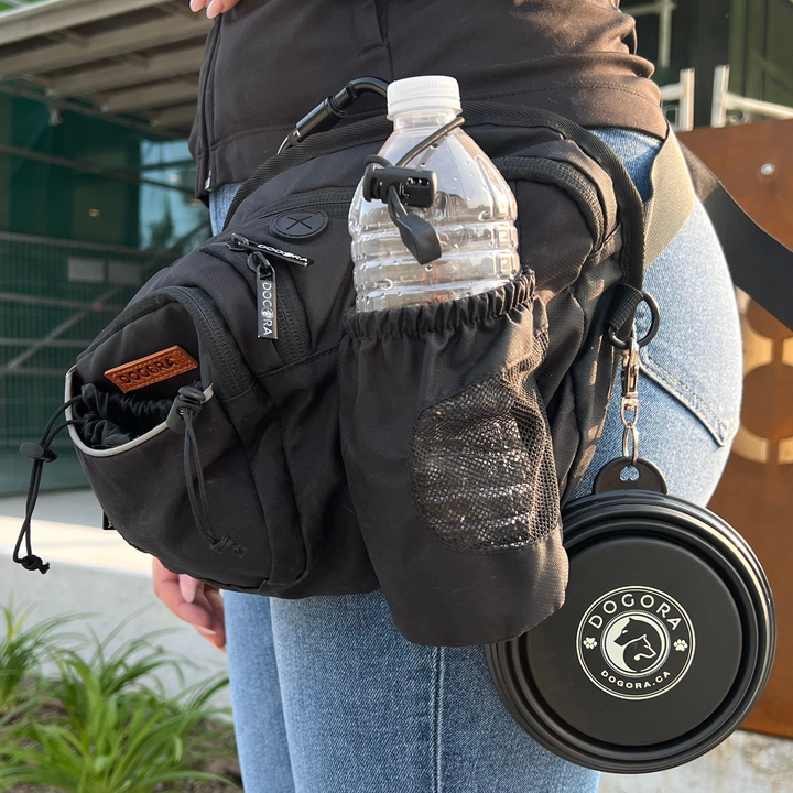 Dogora - Premium Dogwear & Accessories – DOGORA